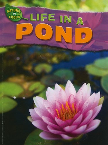 Life in a Pond (Nature in Focus): Hibbert, Adam: 9781433934124: Amazon ...