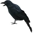 Amazon.com: Sheghy Halloween Realistic Crow, 9.84" Extra Large Black ...
