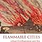 Amazon.com: Flammable Cities: Urban Conflagration and the Making of the ...