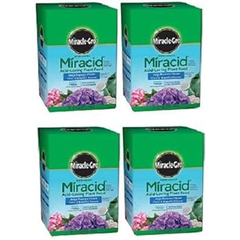 Amazon.com : Miracle Gro 1750011 Miracid, 1 LB, 30-10-10 Water Soluble ...