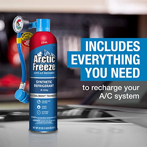 Arctic Freeze Ultra Synthetic Automotive Refrigerant 134A - 22 OZ | Pricepulse