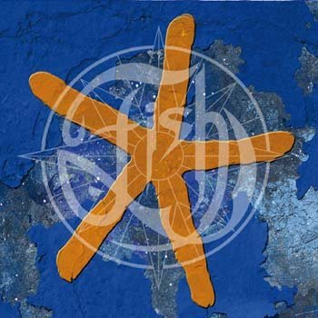 13th Star Deluxe Edition - Fish: Amazon.de: Musik