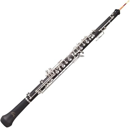 La classificazione degli strumenti musicali – UN MONDO DI MUSICA