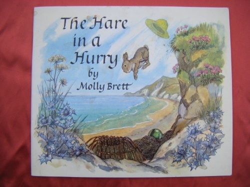 Hare in a Hurry: Molly Brett: 9780855030346: Amazon.com: Books
