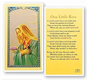 Amazon.com: Mary the Mystical Rose One Little Rose Prayer Blessed ...