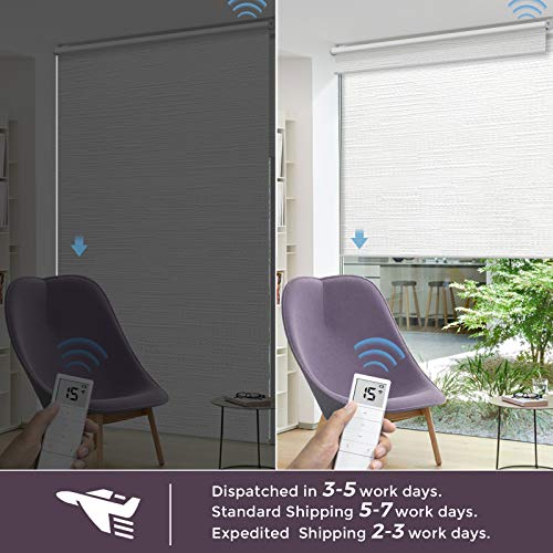 Graywind Motorized Dual Shades Smart Double Blinds Blackout and Light Filtering Shades in One ...