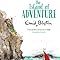 The Island of Adventure (Adventure Series): Enid Blyton, Rebecca Cobb ...