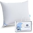 Amazon.com: Continental Bedding 100% Siberian Goose Down Pillow 800 Fill Power, Firm, Standard ...