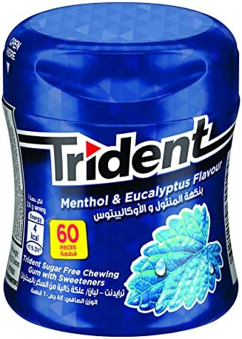 Trident Menthol Chewing Gum Bottle - 60 Pcs price in Egypt | Amazon ...