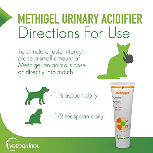 Vetoquinol Methigel Urinary Acidifier To Promote Urinary And Bladder ...