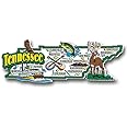 Amazon.com: Tennessee Jumbo State Magnet by Classic Magnets ...