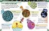 El libro de las bacterias: Feos gérmenes, virus malos y hongos chungos ...