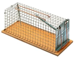 Wire cage rat trap: Amazon.co.uk: DIY & Tools