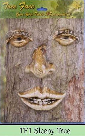 Outdoor Tree Ornaments: Tree Faces