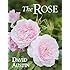 David Austin's English Roses: David Austin: 9781870673709: Amazon.com ...