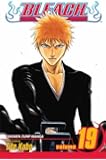 Amazon.com: Bleach, Vol. 22 (9781421511795): Tite Kubo: Books