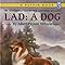Lad: A Dog: Albert Payson Terhune, Sam Savitt: 9780140364743: Amazon ...
