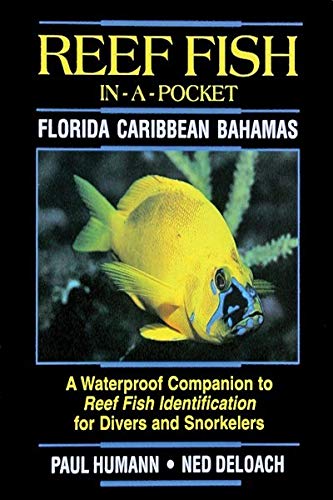 Reef Fish In A Pocket - Florida Caribbean Bahamas: Paul Humann, Ned ...