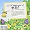 What If There Were No Bees?: A Book About the Grassland Ecosystem (Food ...