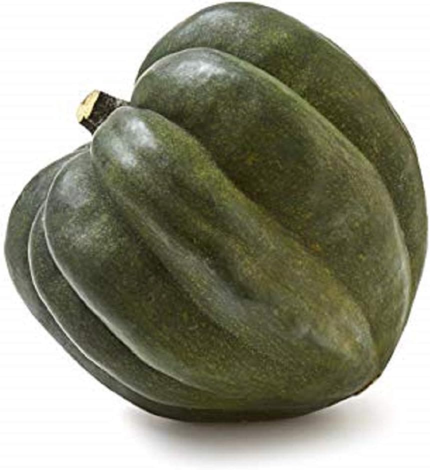 Amazon.com : 50 TABLE QUEEN ACORN SQUASH Winter Cucurbita Pepo ...