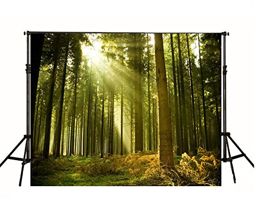 Buy 5x6.5ft Photo Backdrop Jungle Green Forest with Sunshine ...