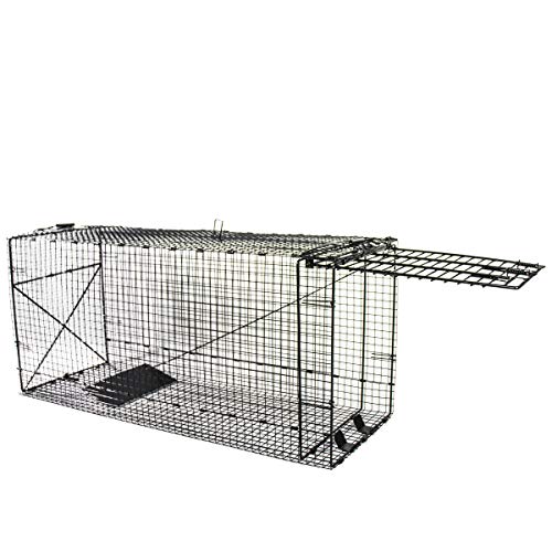 Humane Trap - Live Animal (Coyote, Stray Cat, Fox, Raccoon) Trap - 50 ...