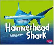 Hammerhead Shark (Sharks): Nuzzolo, Deborah: 9781429617284: Amazon.com ...