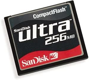 SanDisk 256 MB Ultra CompactFlash Card : Amazon.ca: Electronics