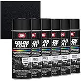 Amazon.com: SEM 15013, Landau Black, Color Coat Vinyl Paint : Automotive