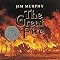 The Great Fire: Murphy, Jim: 9780439203074: Amazon.com: Books