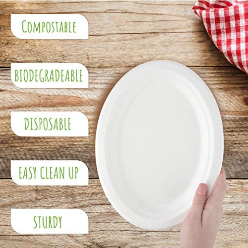 Disposable Oval Paper Dinner Plates – Pack of 25 Heavy Duty, 10"x12.5 ...