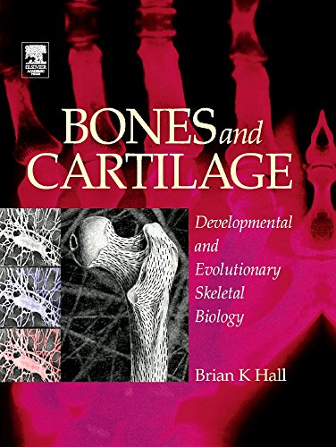 Bones and Cartilage: Developmental and Evolutionary Skeletal Biology ...