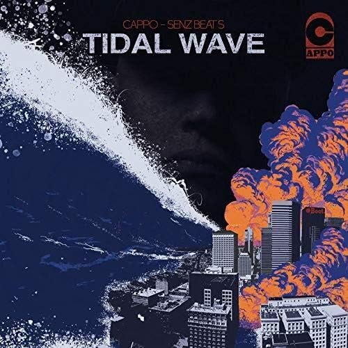 Tidal Wave [VINYL]: Amazon.co.uk: Music