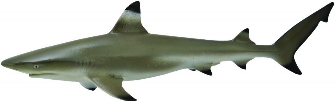 Collecta Sea Life Blacktip Reef Shark Toy Figure - Authentic Hand ...