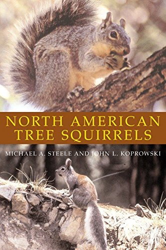 North American Tree Squirrels: Steele, Michael A., Koprowski, John L ...