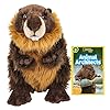 Wildlife Tree 12 Inch Plush Beaver Stuffed Animal Bundle with National ...
