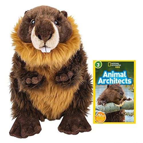 Wildlife Tree 12 Inch Plush Beaver Stuffed Animal Bundle with National ...