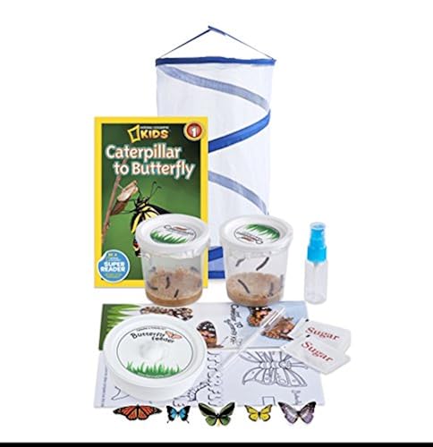 Live Butterfly Growing Kit: Shipped with 10 Live Caterpillars Now, Pop ...