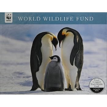 Amazon.com: WWF Penguins w/Babies Christmas Cards Box of 20: Office ...