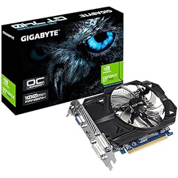 Amazon.com: EVGA GeForce GT 740 4GB GDDR5 Dual DVI mHDMI Graphics Cards ...