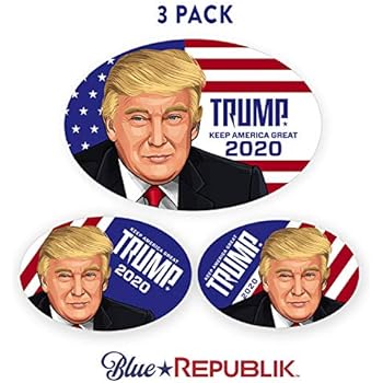 Amazon.com: BlueRepublik Donald Trump 2020 Oval 4 x 6 Decal for ...