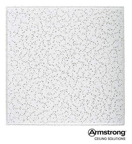 Armstrong Ceiling Tiles; 2x2 Ceiling Tiles - Acoustic Ceilings for ...