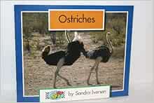Amazon.com: Ostriches (Quick60 Quick Kit G-i) (9781775401209): Iversen ...
