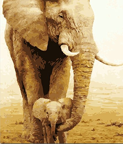 Elephant Paint By Number Kits • Paint By Number For Adults