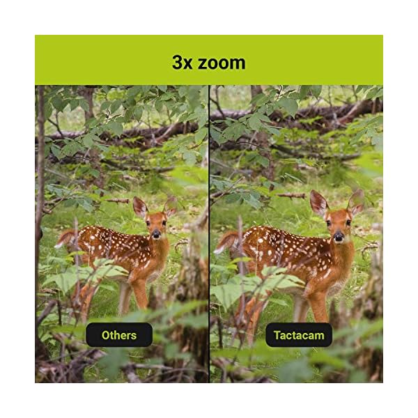 TACTACAM Solo WiFi Hunting Action Camera – Hunter Package – Includes ...