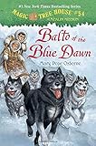 Amazon.com: Soccer on Sunday (Magic Tree House (R) Merlin Mission ...