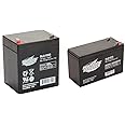 Amazon.com: Interstate Batteries 12V 5Ah Battery (SLA1055) & 12V 8Ah ...