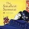 The Smallest Samurai: Fiona French: 9781845078171: Amazon.com: Books