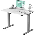 Amazon.com: FLEXISPOT EC1 Electric Standing Desk 48 x 30 Inches Adjustable Desks for Home Office ...