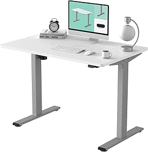 Amazon.com: FLEXISPOT EC1 Essential Electric Standing Desk 48 x 30 Inches Adjustable Desks for ...